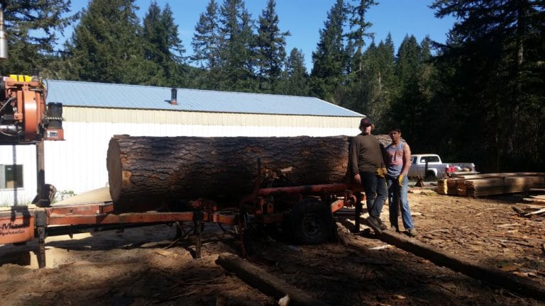 Sawmilling – Oregon TimberWerks
